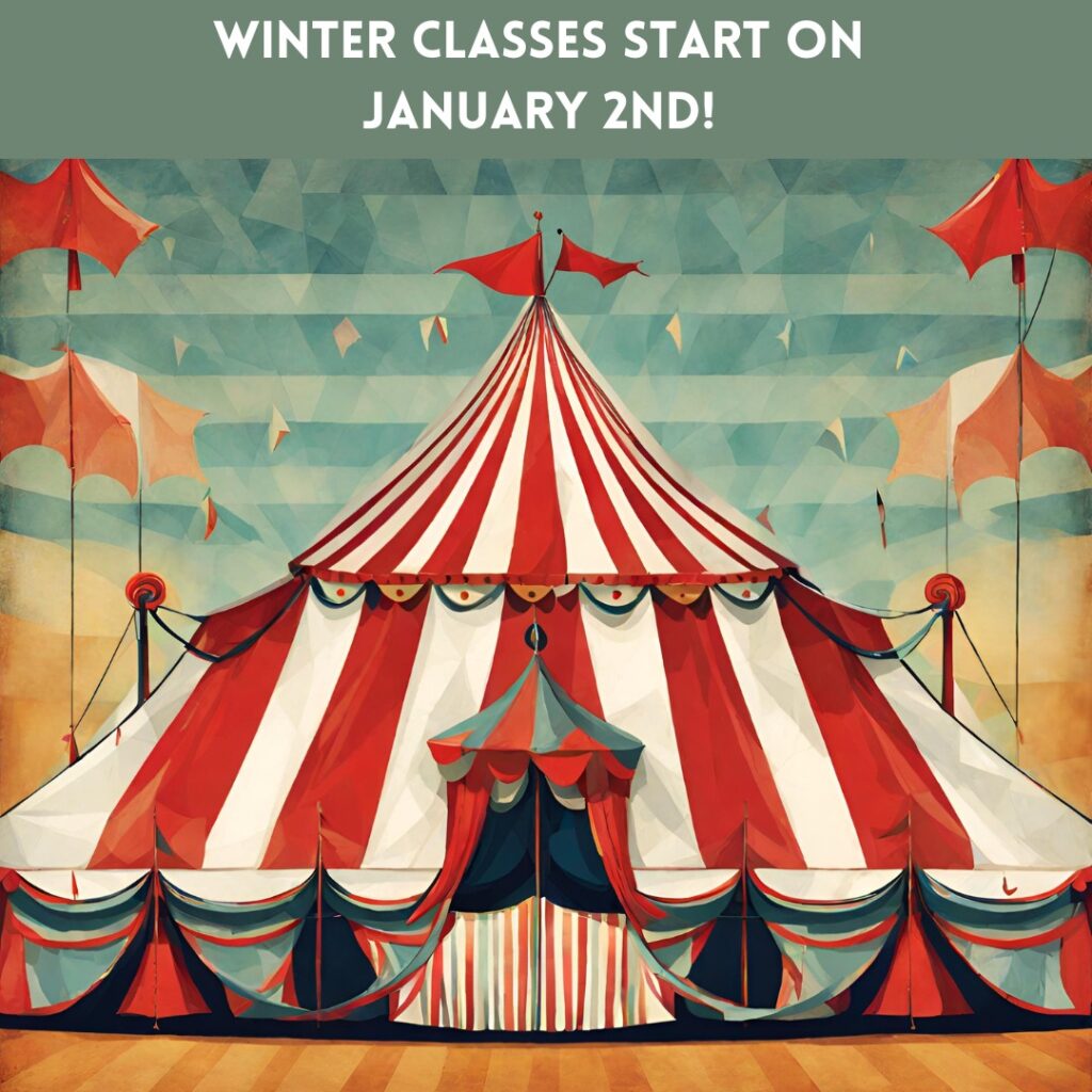 The School of Acrobatics and New Circus Arts in Seattle | Sanca